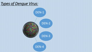 Dengue Fever | PPT