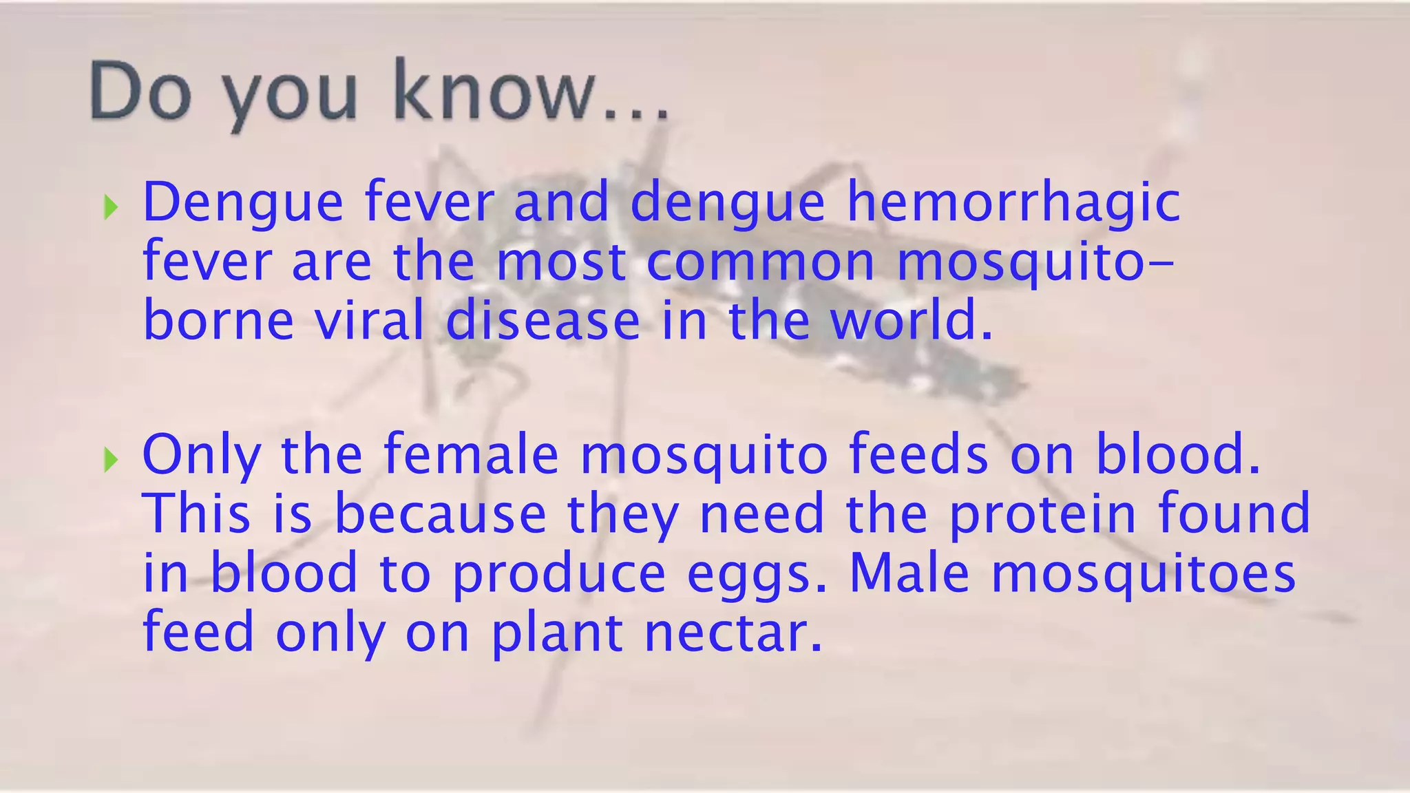 Dengue Fever and how to Prevent it | PPT