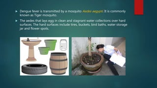 Dengue fever | PPTX