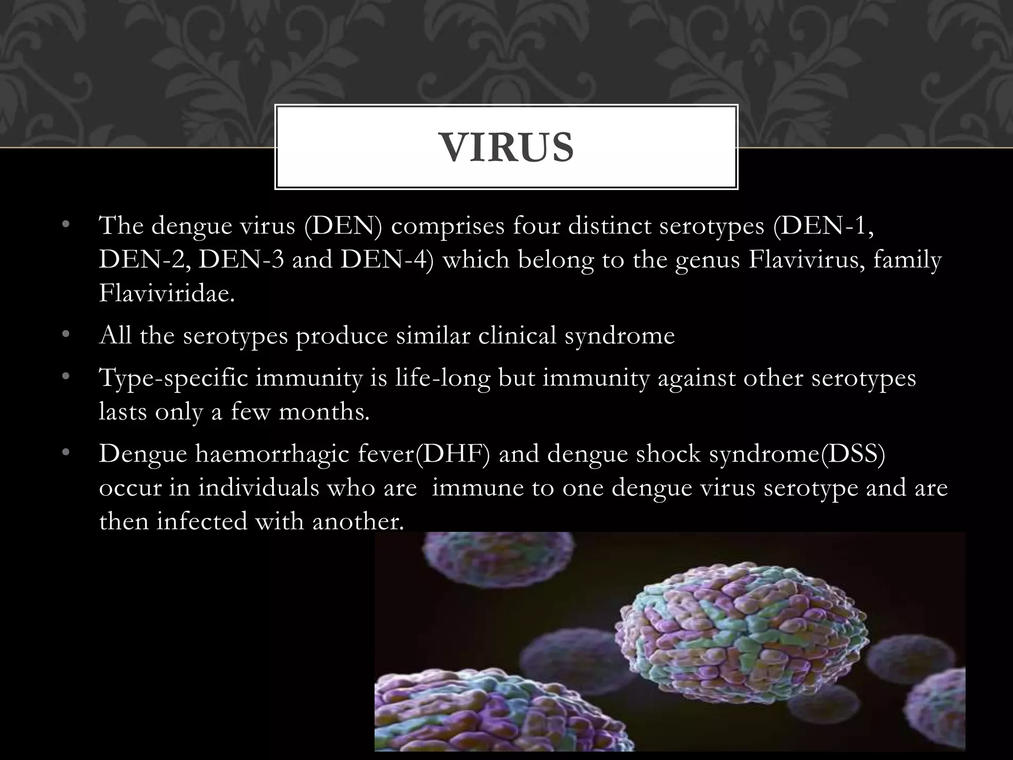 Dengue fever | PPTX
