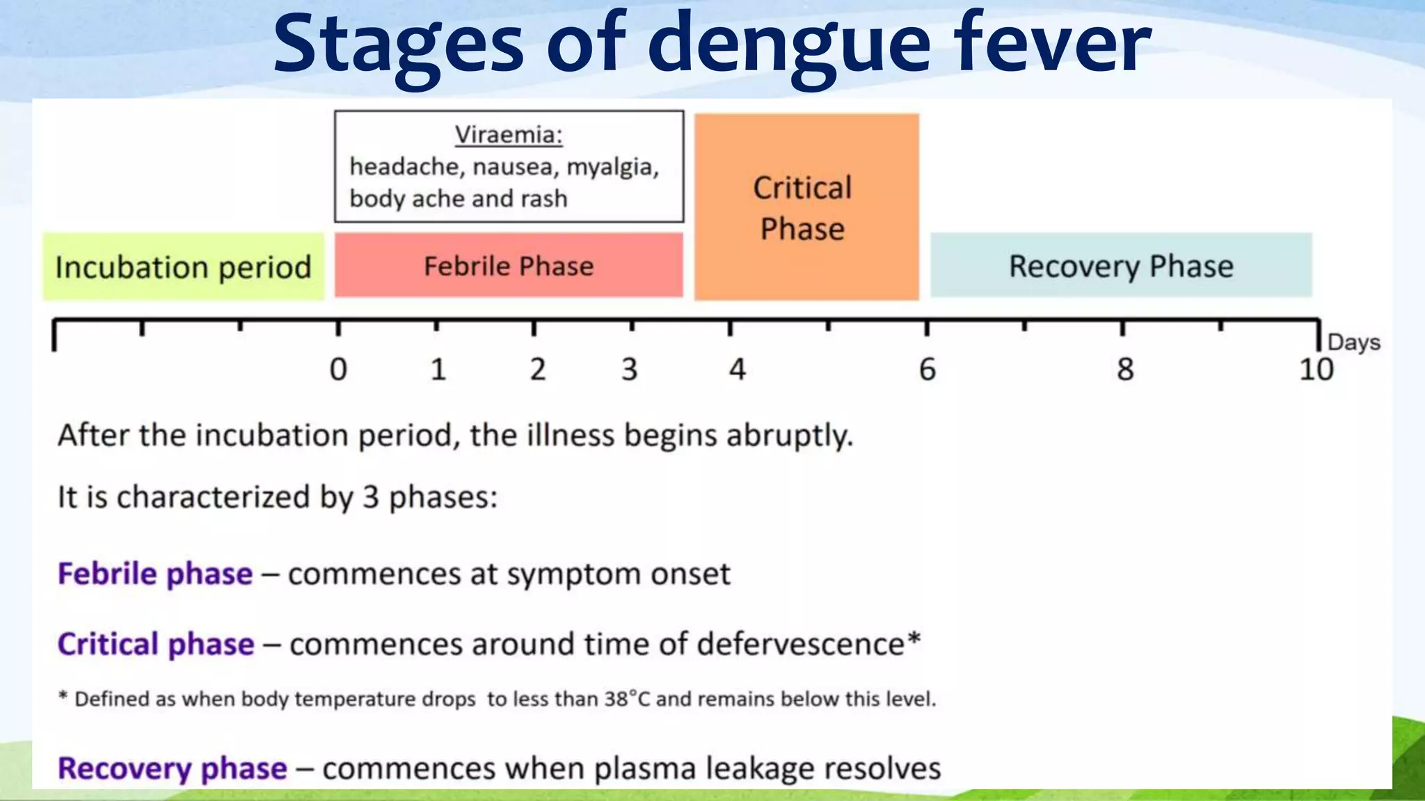 Dengue fever for nurses | PPTX