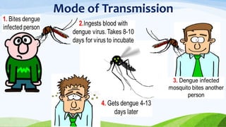 Mode Of Transmission Dengue