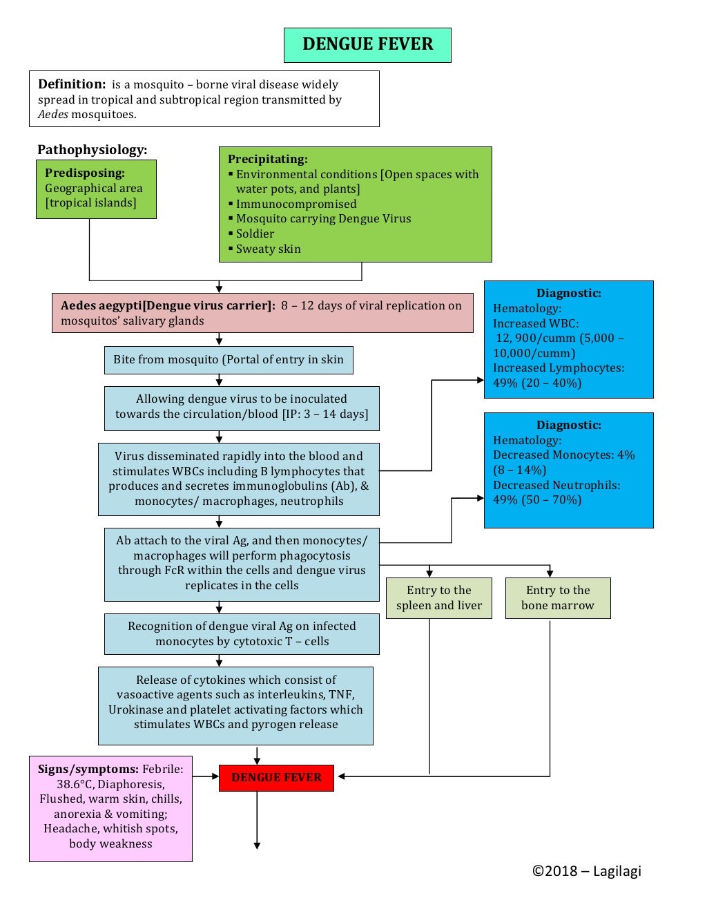 Pathophysiology Dengue fever