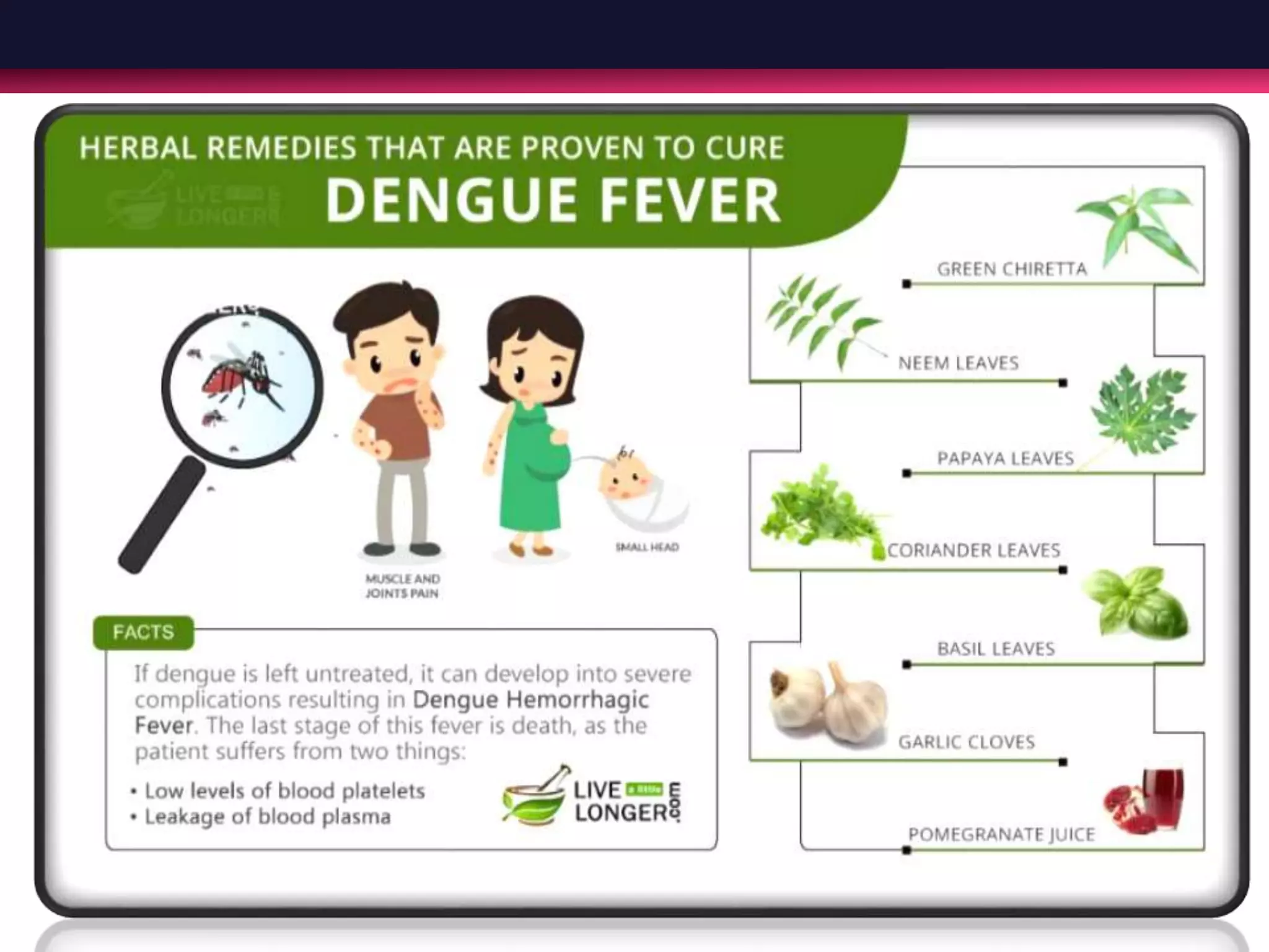 Dengue fever | PPTX