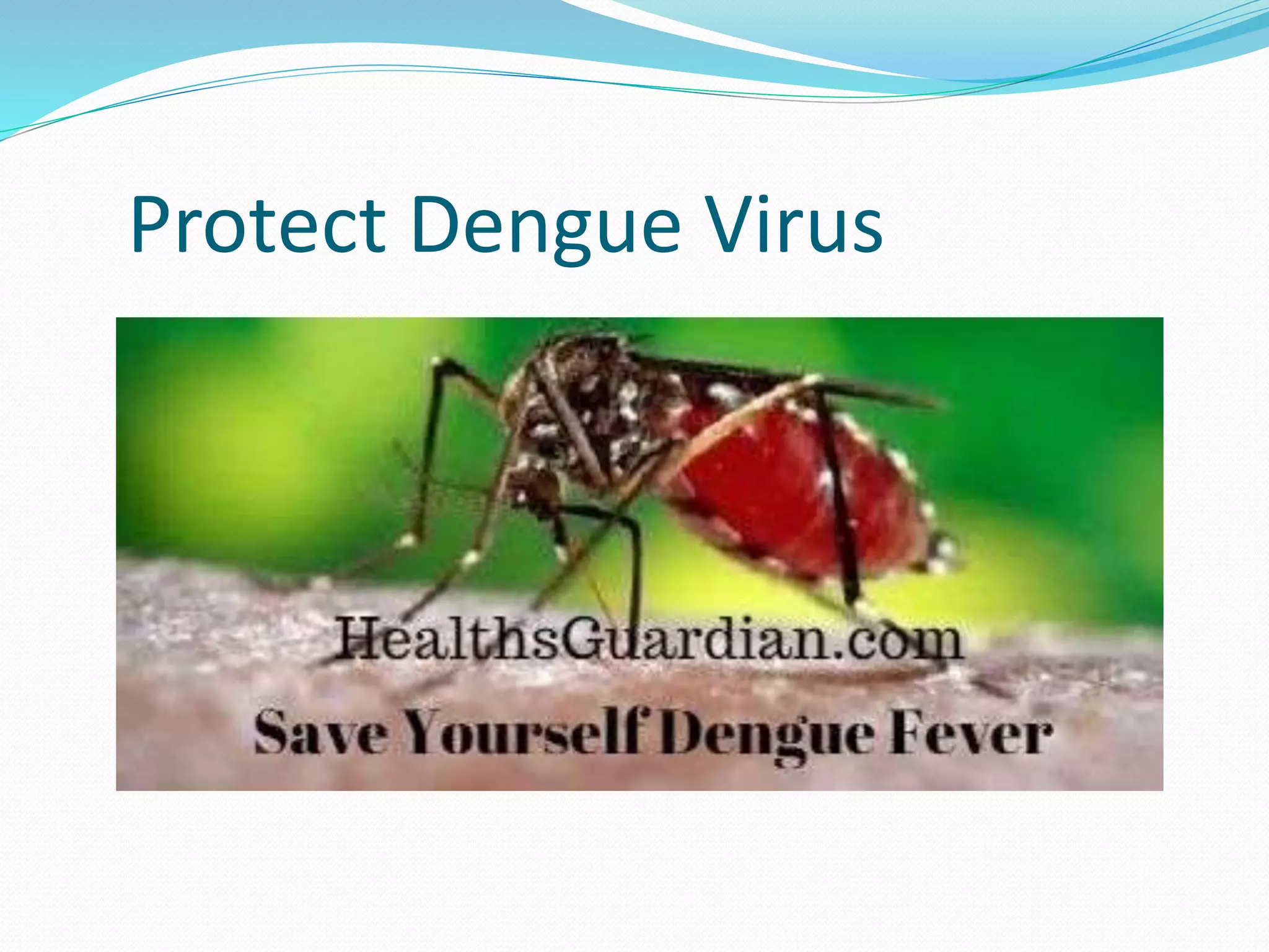 Dengue fever | PPT