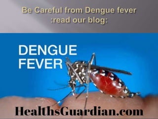 Dengue fever | PPT