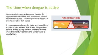 Dengue fever | PPTX