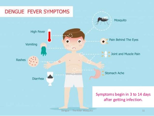 Dengue or Break-Bone Fever