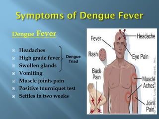 Dengue Fever | PDF