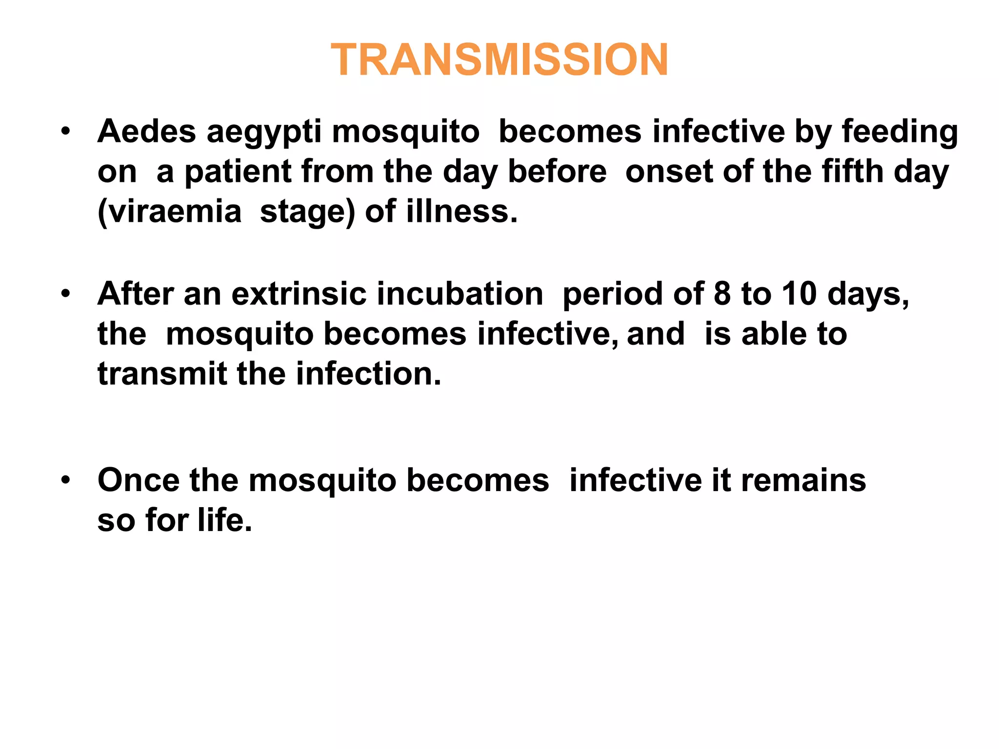 Dengue fever | PPTX