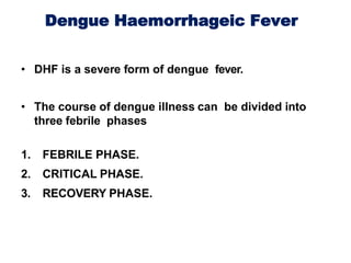 Dengue fever | PPTX