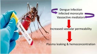 Dengue fever- a medical study ( definition, management ,prevention ...