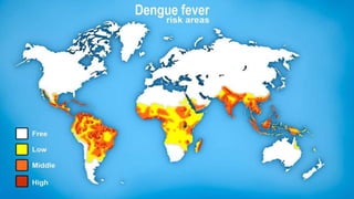 Dengue fever- a medical study ( definition, management ,prevention ...