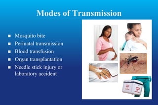 Mode Of Transmission Dengue