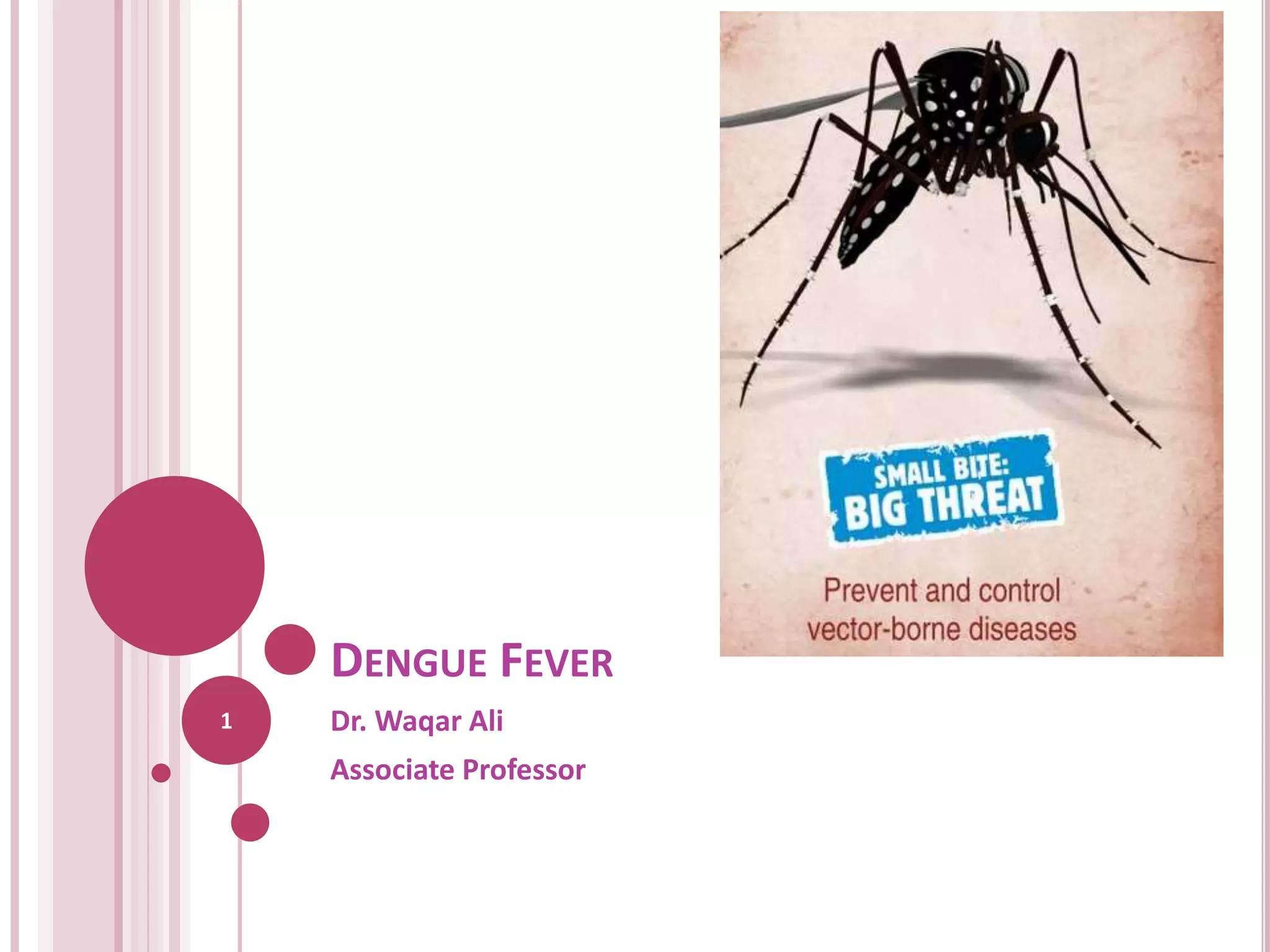 Dengue Fever.ppt