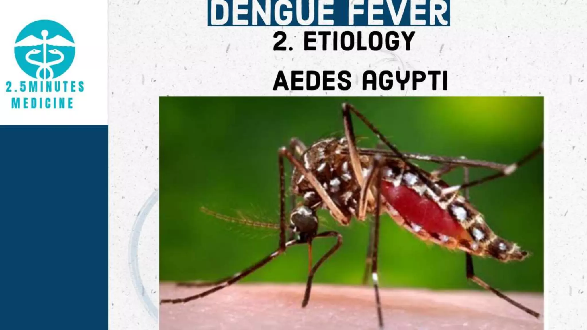dengue fever | Introduction, etiology, clinical features, warning signs, investigation ...