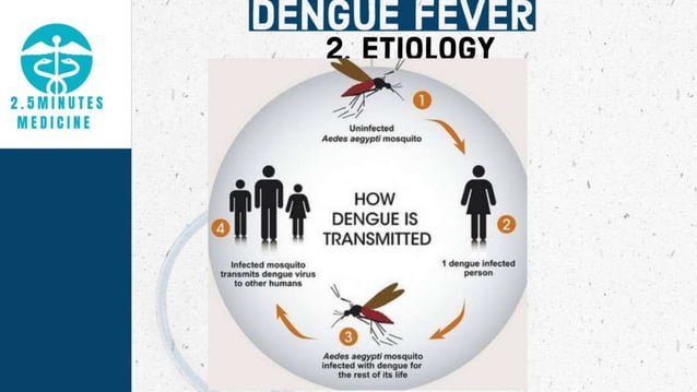dengue fever | Introduction, etiology, clinical features, warning signs ...