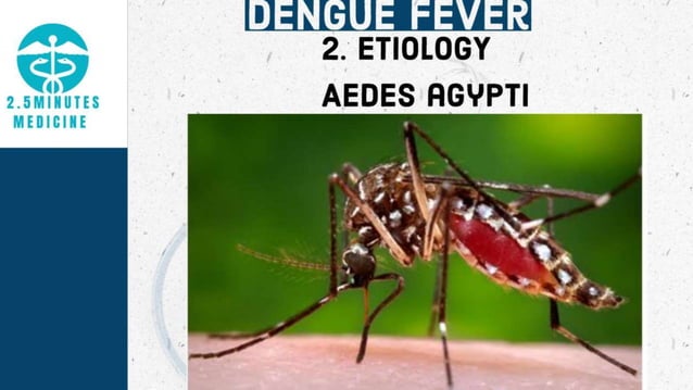 dengue fever | Introduction, etiology, clinical features, warning signs ...