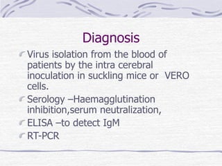 Dengue Fever.ppt