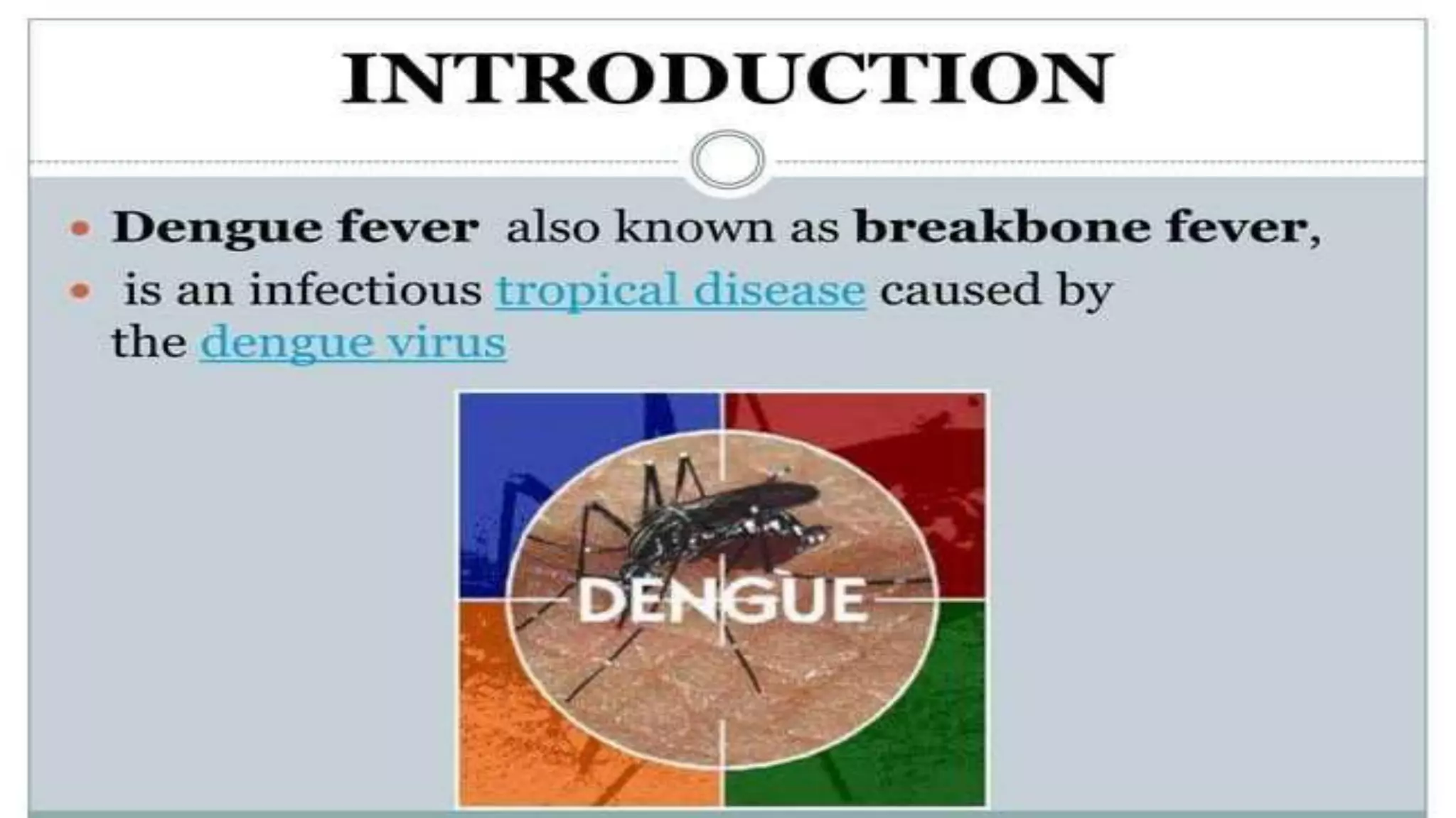 DENGUE FEVER.pptx
