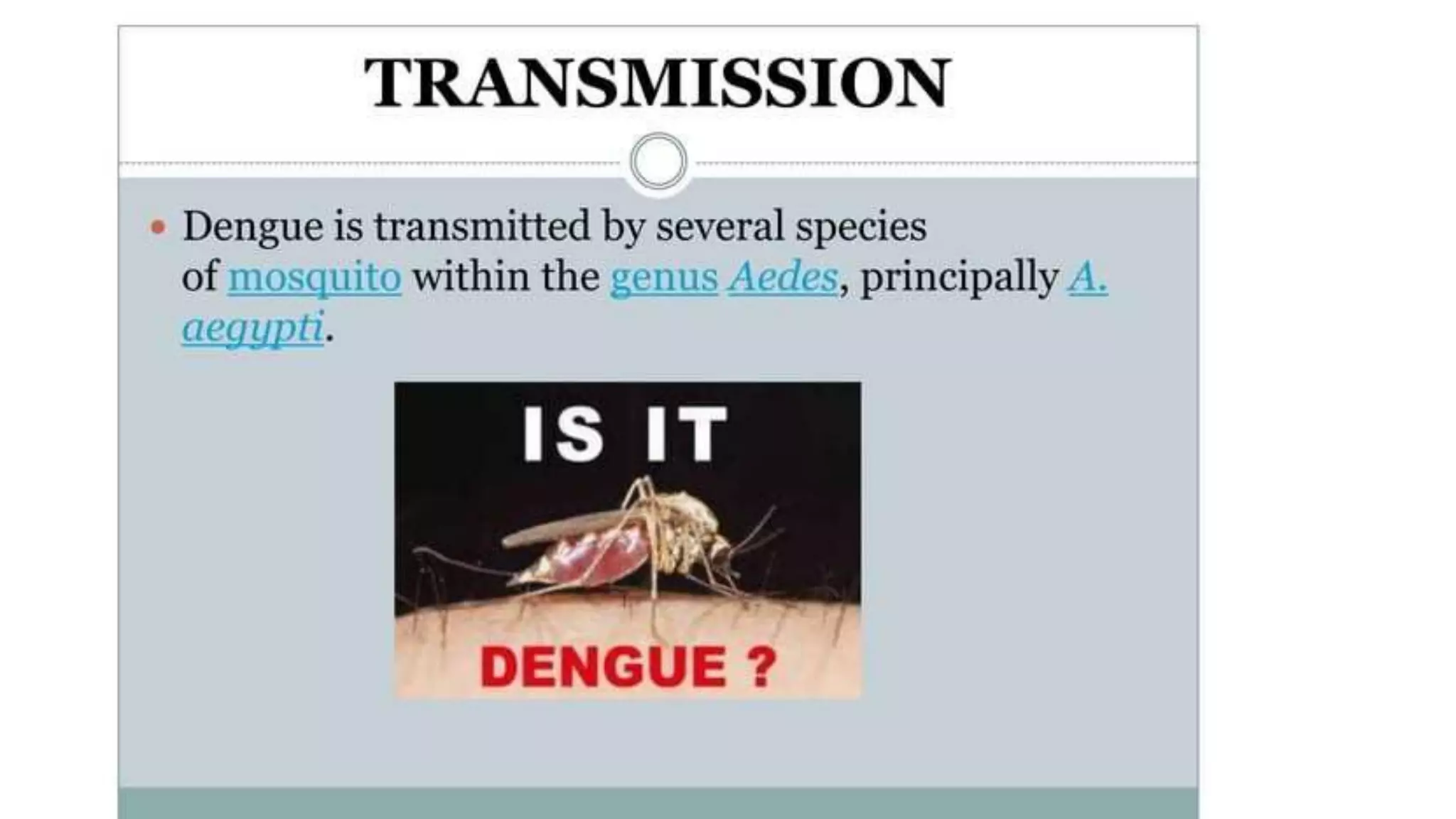 DENGUE FEVER.pptx