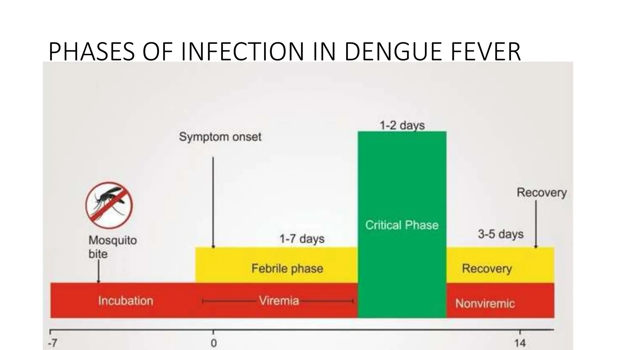 Dengue Fever, epidemiology, diagnosis and management | PPTX ...