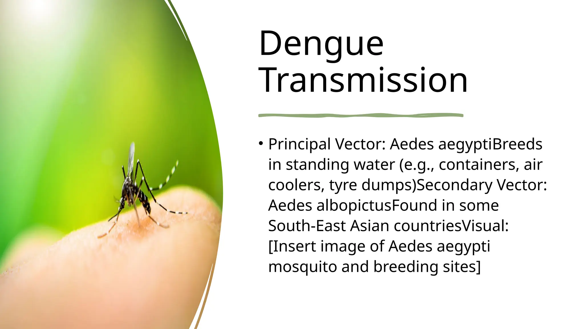 Dengue Fever : Diagnosis and management . | PPTX