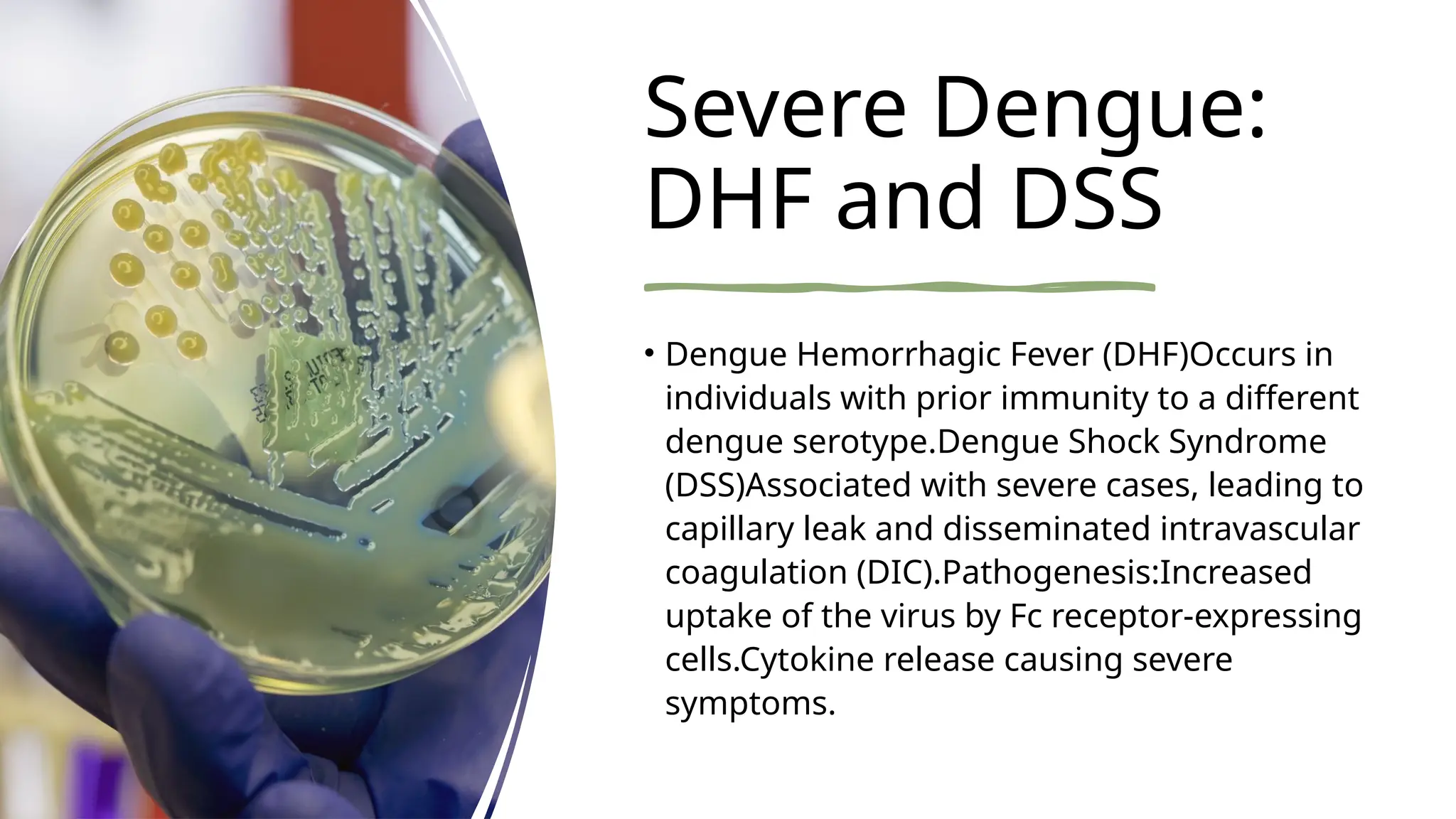 Dengue Fever : Diagnosis and management . | PPTX