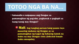 Dengue Fever information drive slidess.pptx