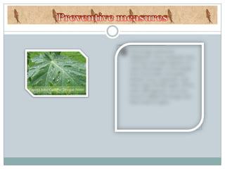 Dengue fever Awareness | PPT