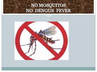 Dengue fever Awareness | PPT