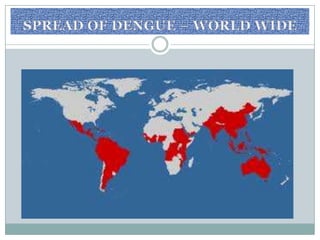 Dengue Fever Awareness | PPT