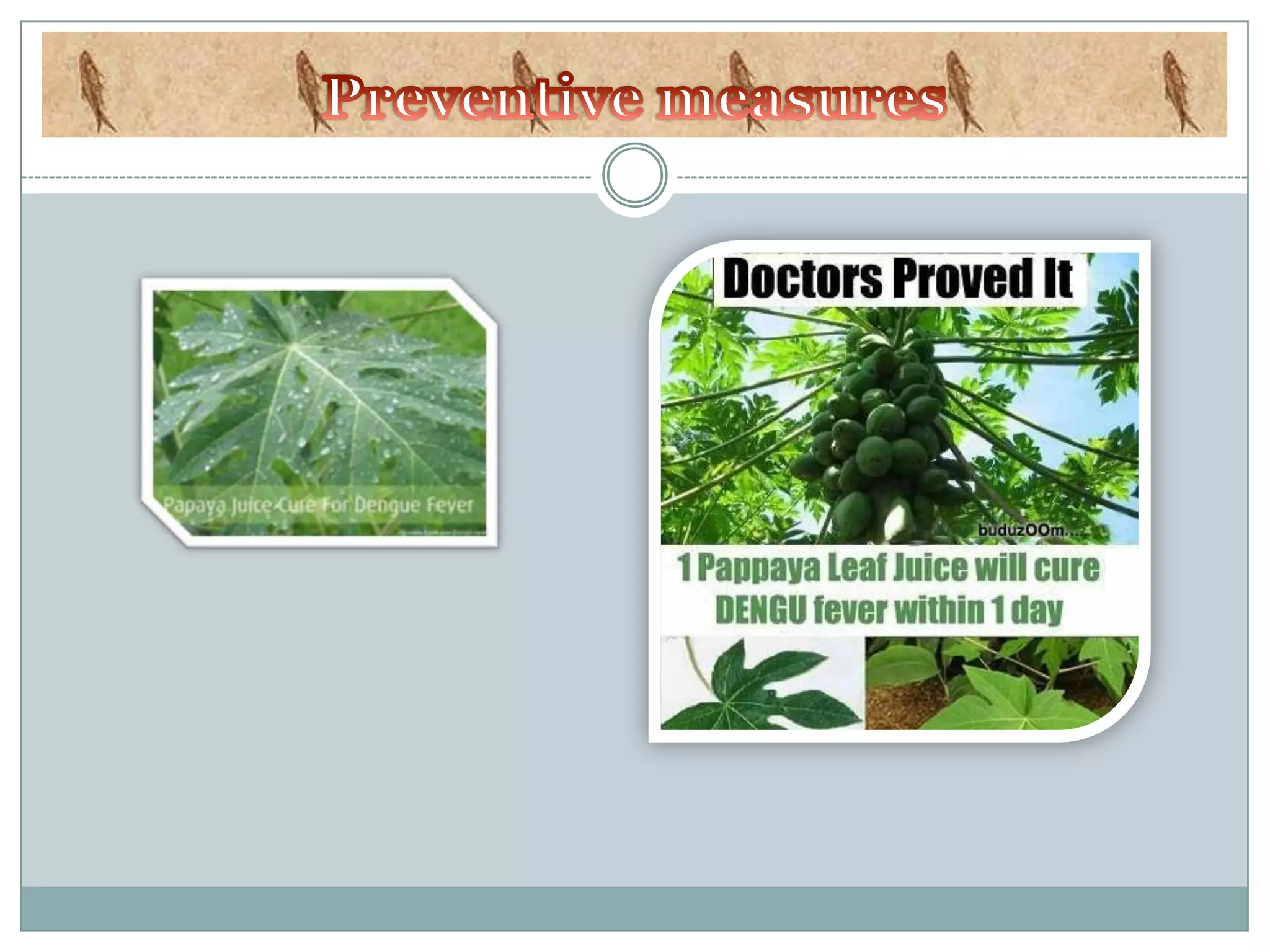 Dengue fever awareness | PPTX