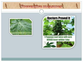 Dengue fever awareness | PPTX