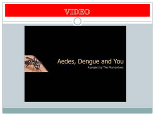 Dengue fever awareness | PPTX