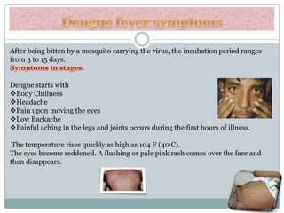 Dengue fever awareness | PPTX