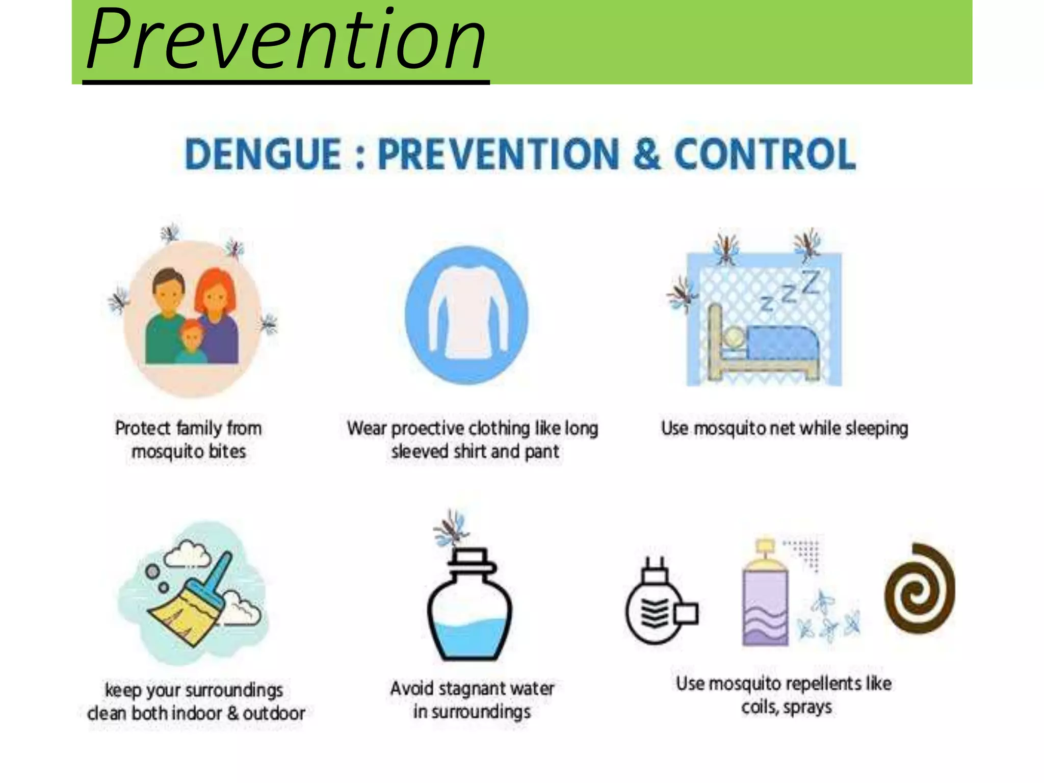 Dengue Fever-WPS Office.pptx | Infectious Diseases | Diseases and Conditions