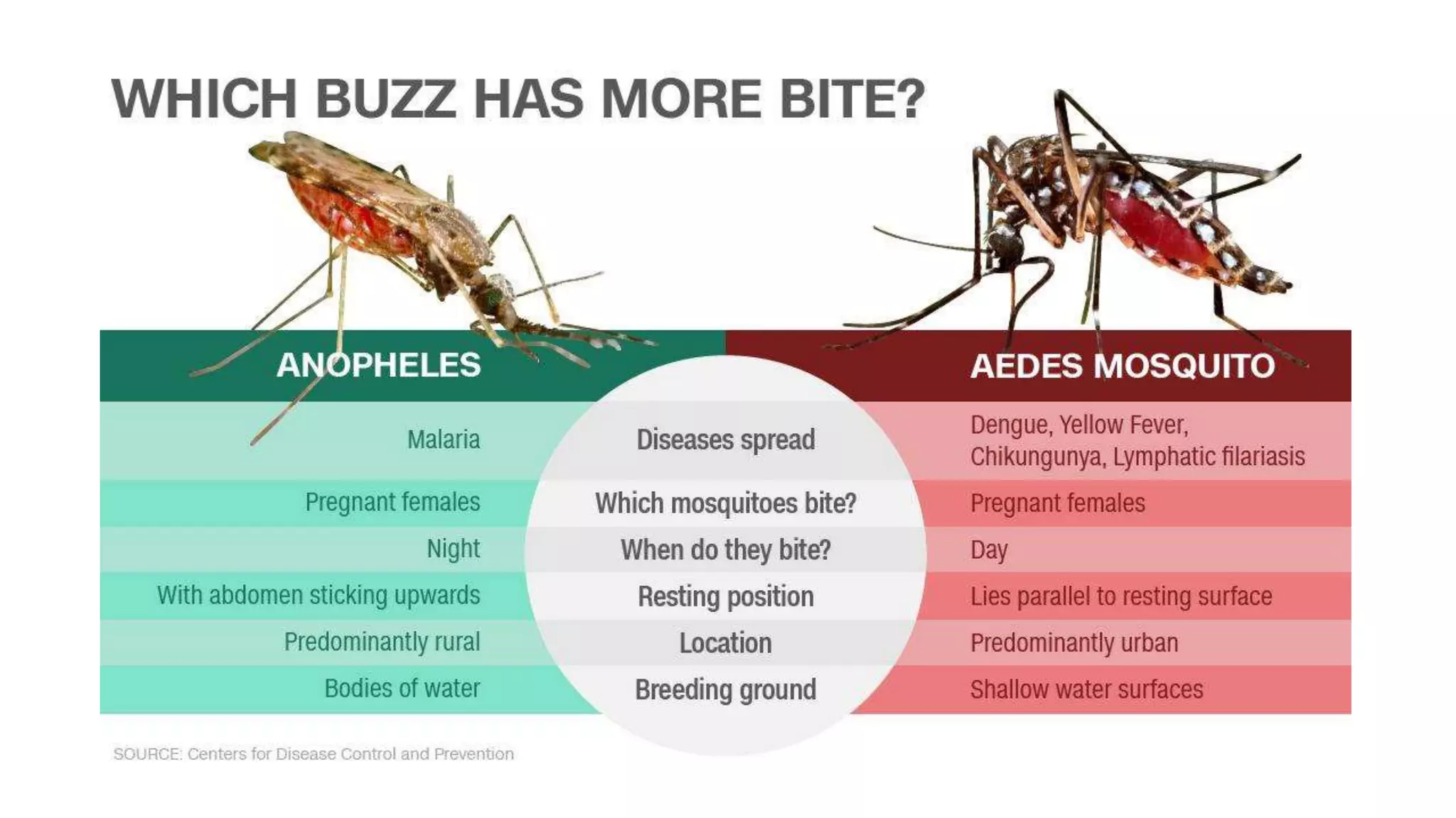 DENGUE FEVER.pptx