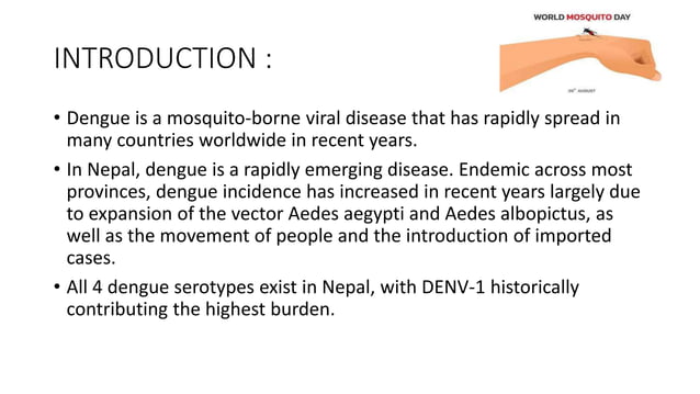 DENGUE FEVER.pptx | Blood Disorders | Diseases and Conditions
