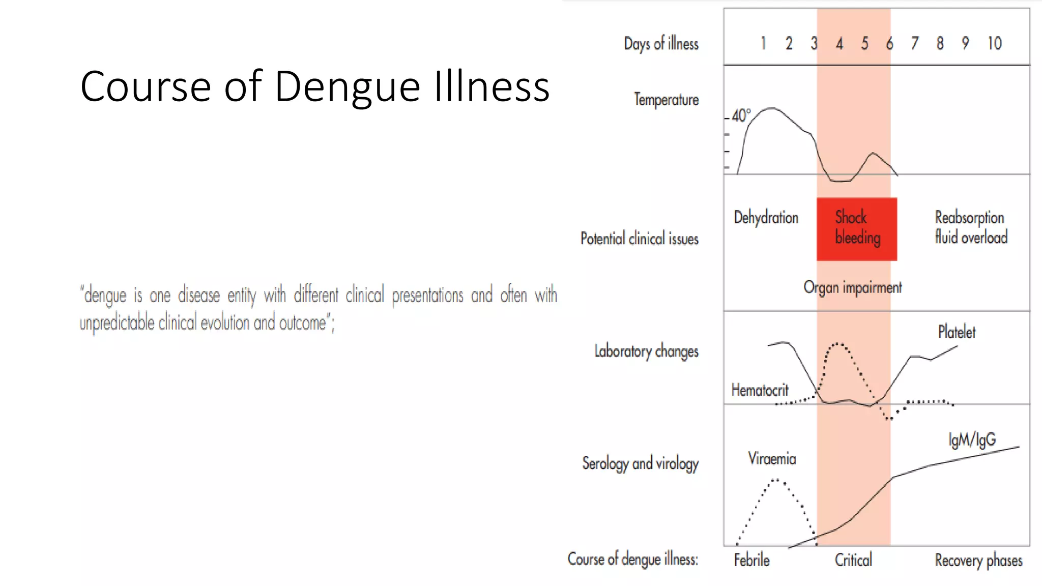 Dengue Fever 2019 | PDF