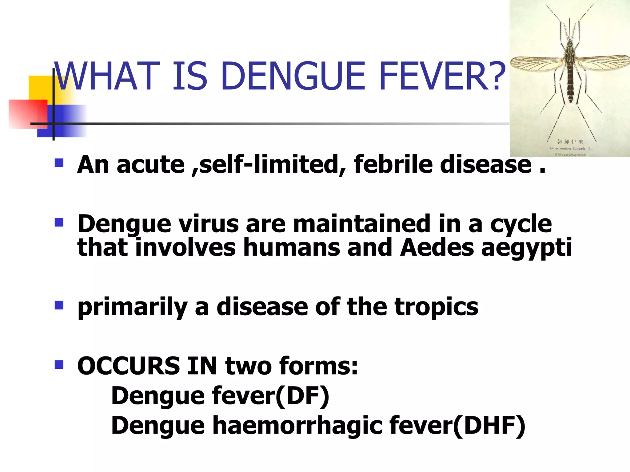 Dengue Fever(2),09 | PPT