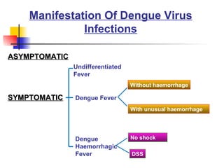 Dengue Fever(2),09 | PPT