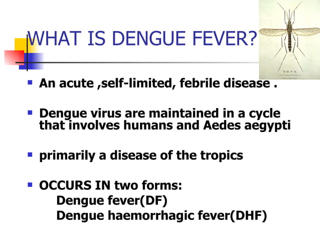 Dengue Fever(2),09 | PPT | Infectious Diseases | Diseases and Conditions