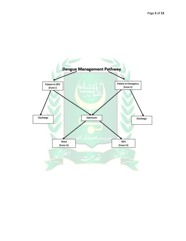 Dengue fever algorithm and charts | PDF | Medical Health