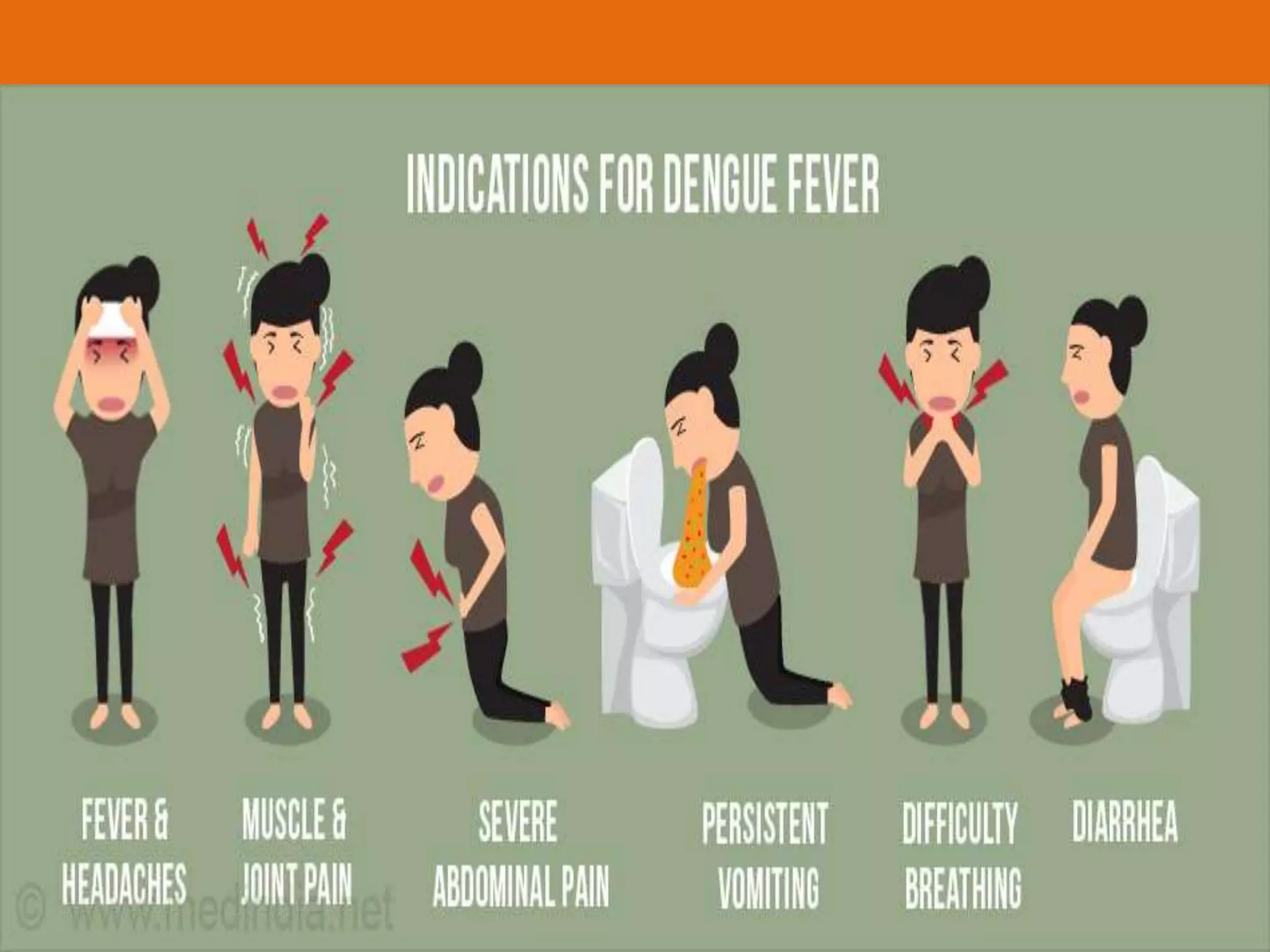 Dengue fever and dengue hemorrhagic fever | PPTX