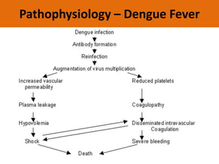 Dengue fever and dengue hemorrhagic fever | PPTX