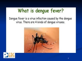 DENGUE FEVER and Its Complicationsby Prof M Ali Khan | PPT