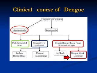DENGUE FEVER and Its Complicationsby Prof M Ali Khan | PPT