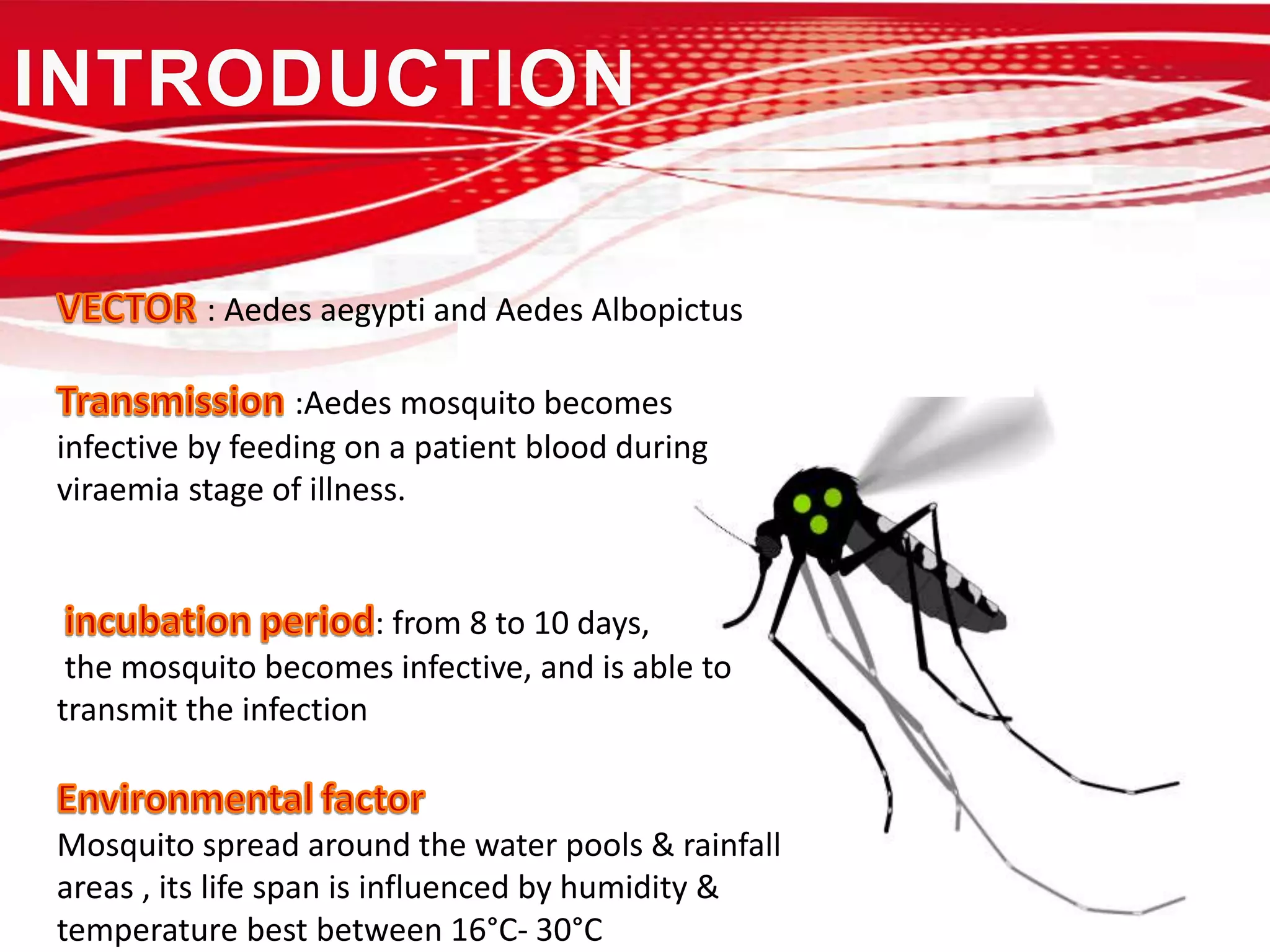 Dengue fever .pptx