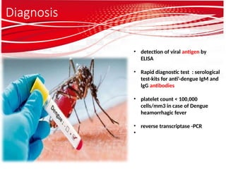 Dengue fever infectious disease presentation | PPTX